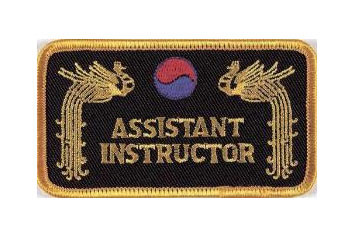 Patch Assistant Instructor Mykaratestore Llc